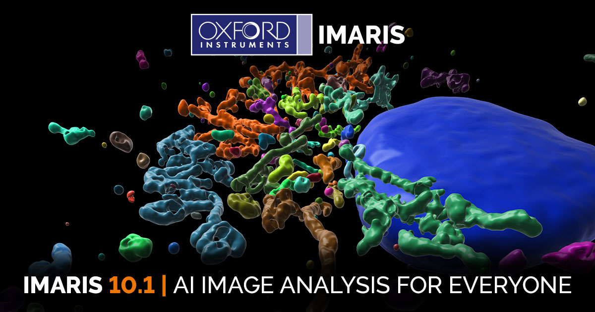 Imaris 10.1 – Microscopy Image Analysis with AI Filament Tracer - Imaris - 牛津仪器