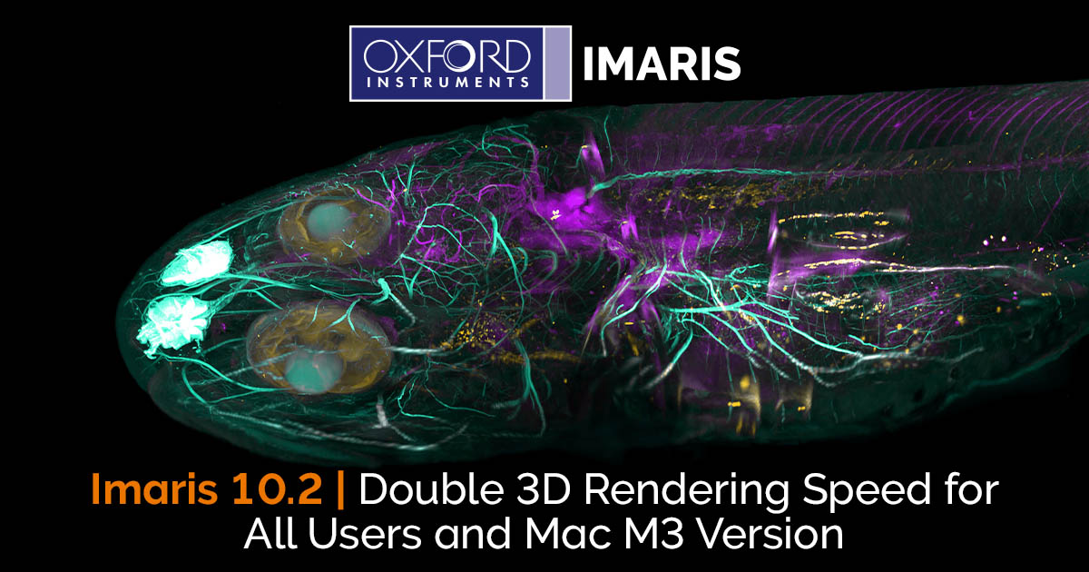 Imaris 10.2 — 为所有用户带来双倍的 3D 渲染速度并支持Apple M3处理器 - Imaris - 牛津仪器